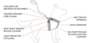 Types of Dog Harnesses: A Complete Guide | Harness Hub